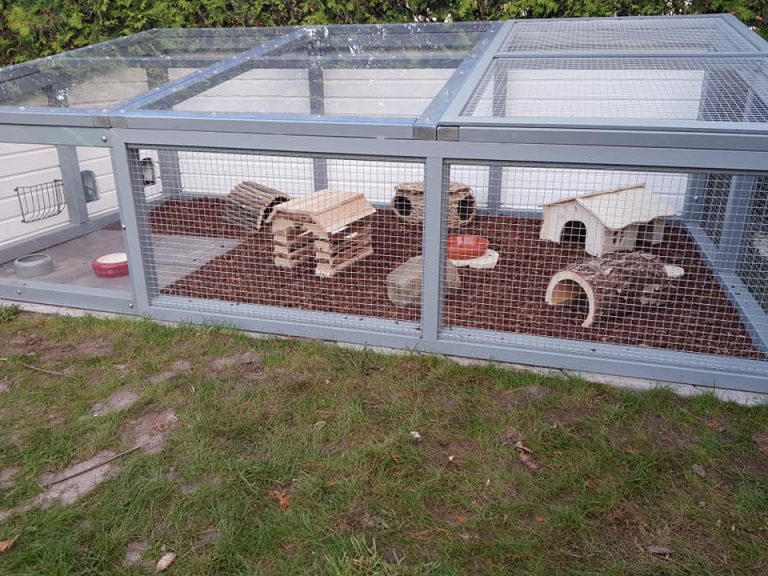 Wunderbar Meerschweinchen Kfig Draussen Ebenbild