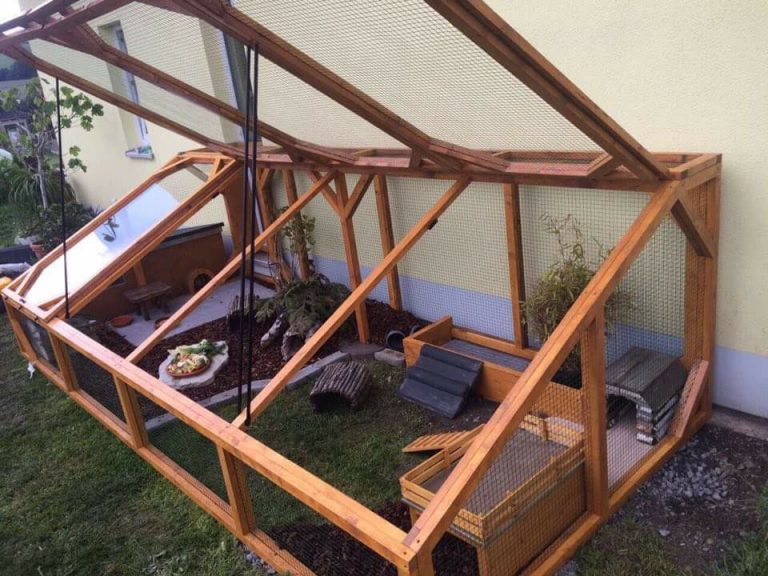 Aussengehege Meerschweinchen Selber Bauen