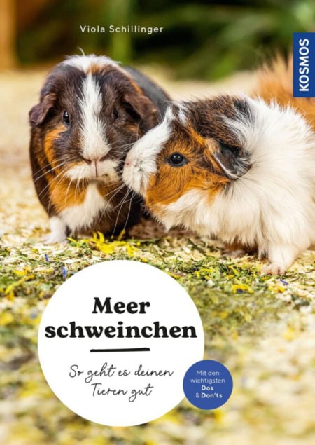 Meerschweinchen Bücher – Meerschweinchen-Info