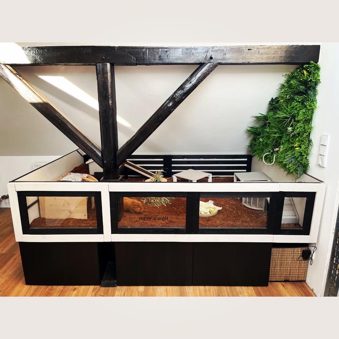 Meerschweinchenkfig Selber Bauen Ikea